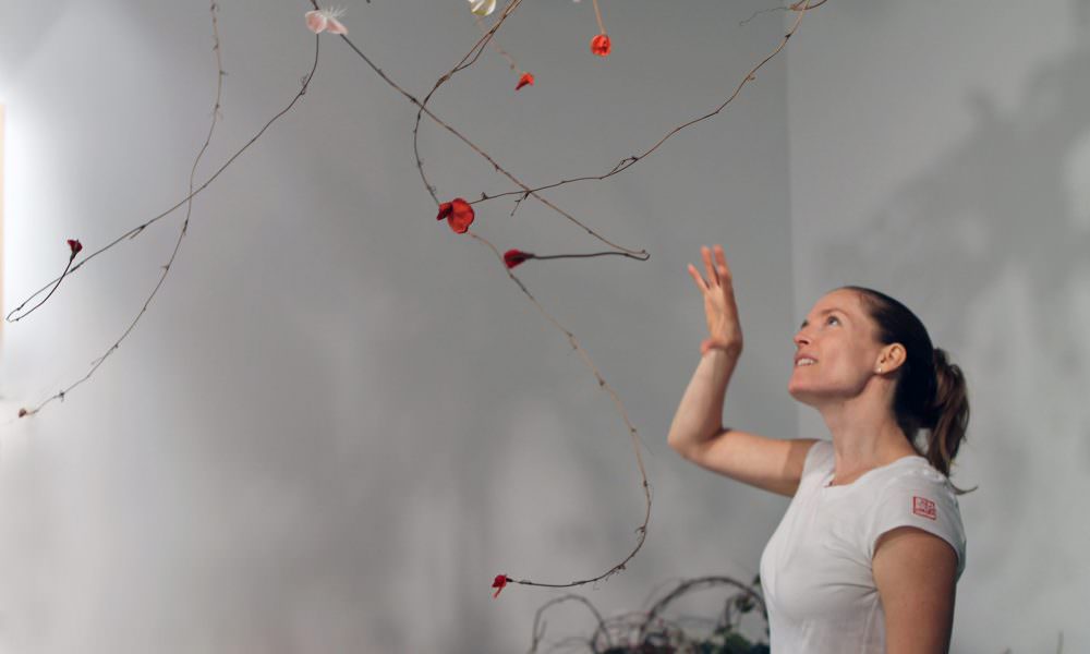 Danielle Felice Riede - Allentown Art Museum