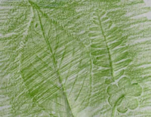 Texture Rubbings - Allentown Art Museum