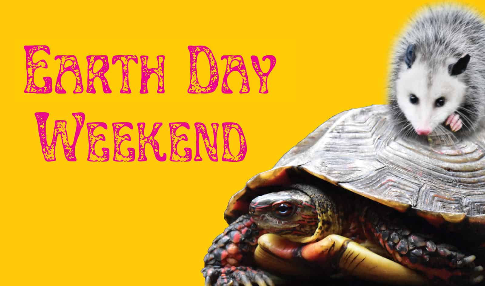 Earth Day Weekend @ The Art Museum - Allentown Art Museum