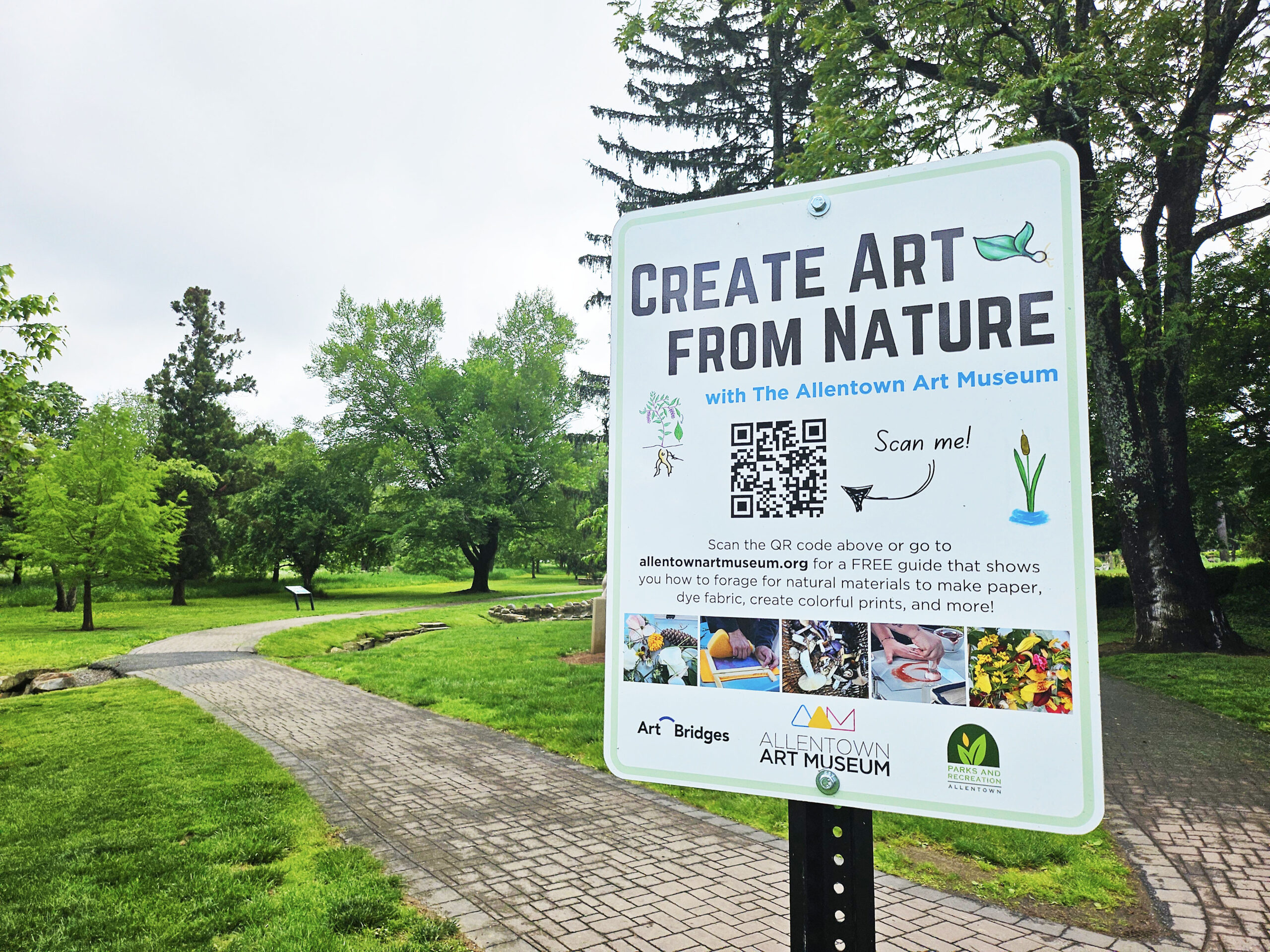 Free foraging & art-making guide for summer - Allentown Art Museum